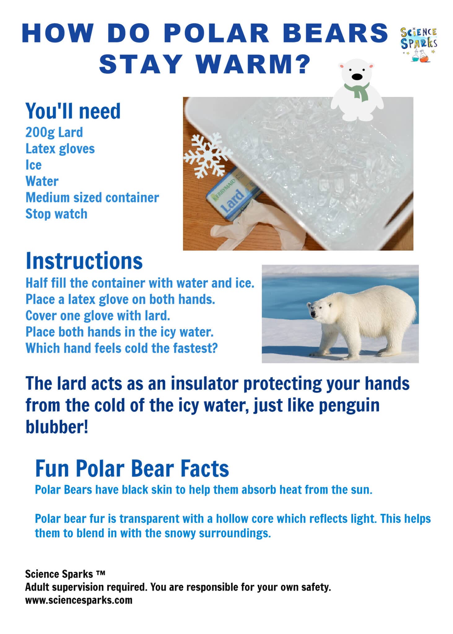 How do Animals Stay Warm in Winter? - Animal Science for Kids