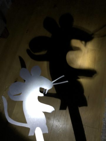Shadow Experiments and Activities for Kids