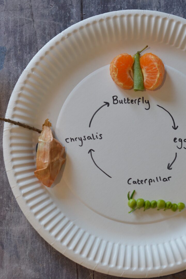 Experiments you can make FLY - Science Experiments for Kids