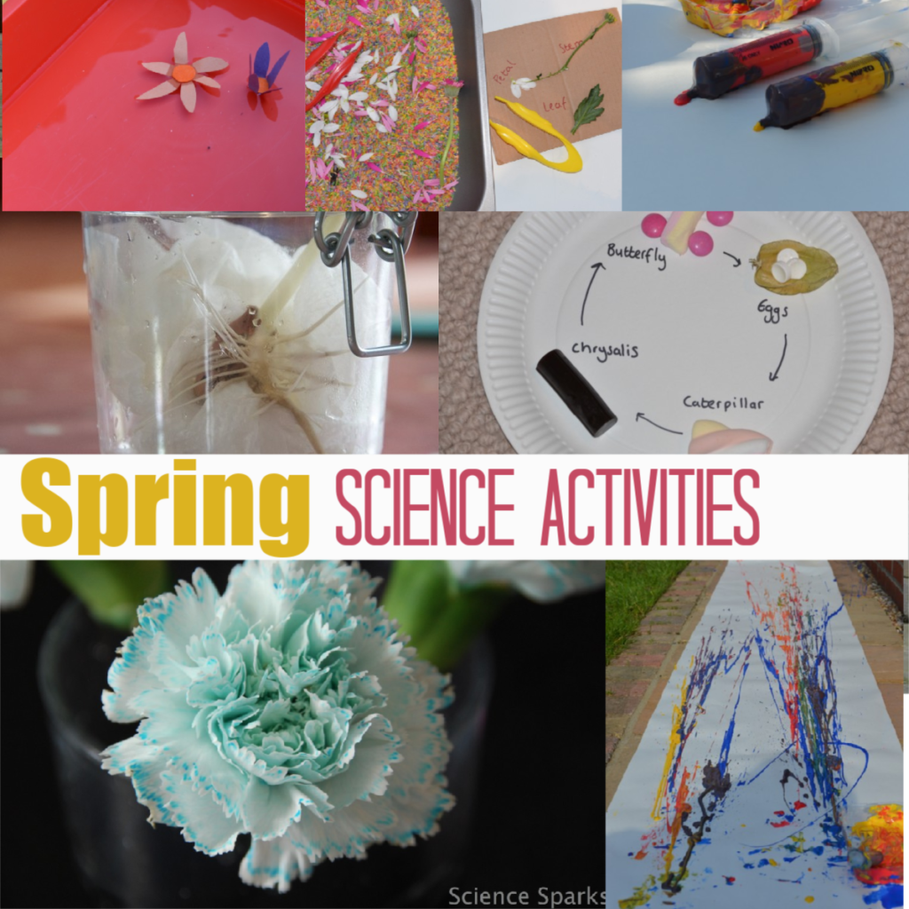 20 Fun Spring Activities For Kids Science Sparks