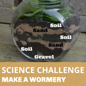 Make your own Wormery - Science for Kids