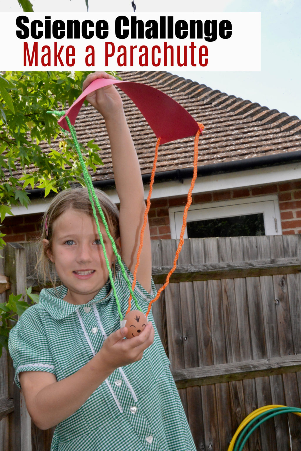 Leonardo da Vinci Science Activities