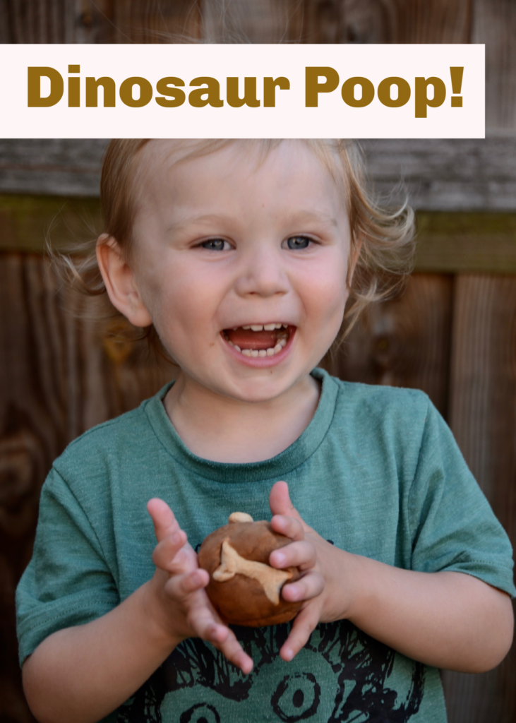 What Did Dinosaurs Eat? - Dinosaur Poop Investigation