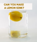5 Science Experiments you can do with a lemon