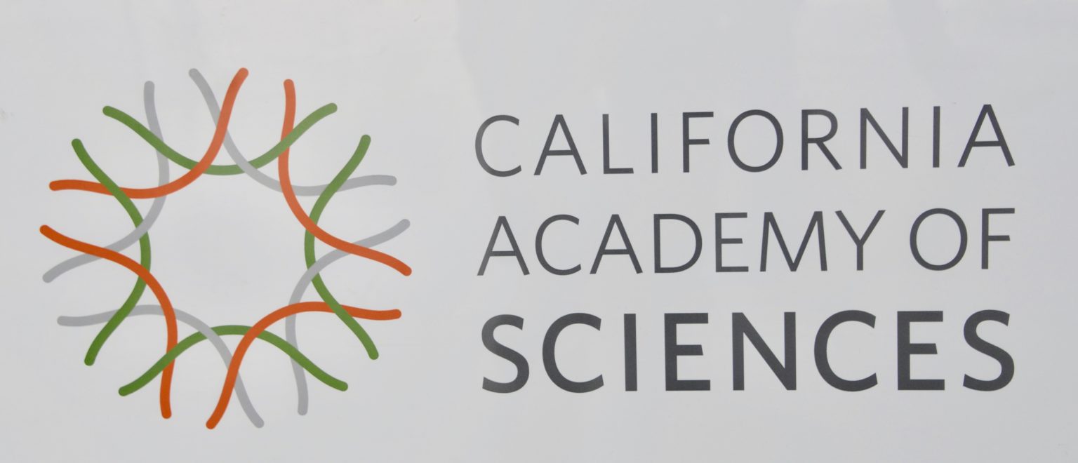 A Day at California Academy of Sciences - Review