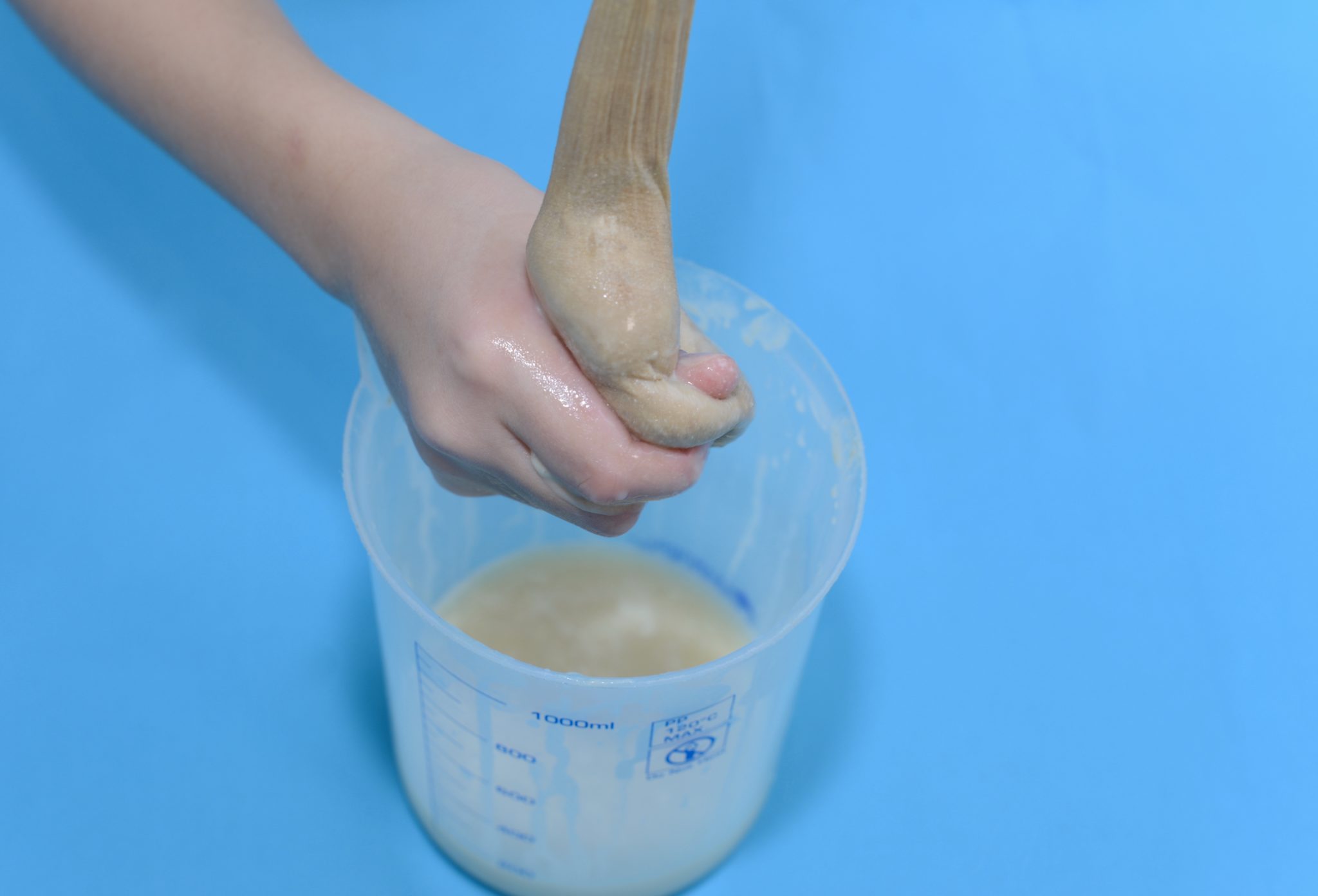 Easy Human Digestive System Model - Human Biology for Kids