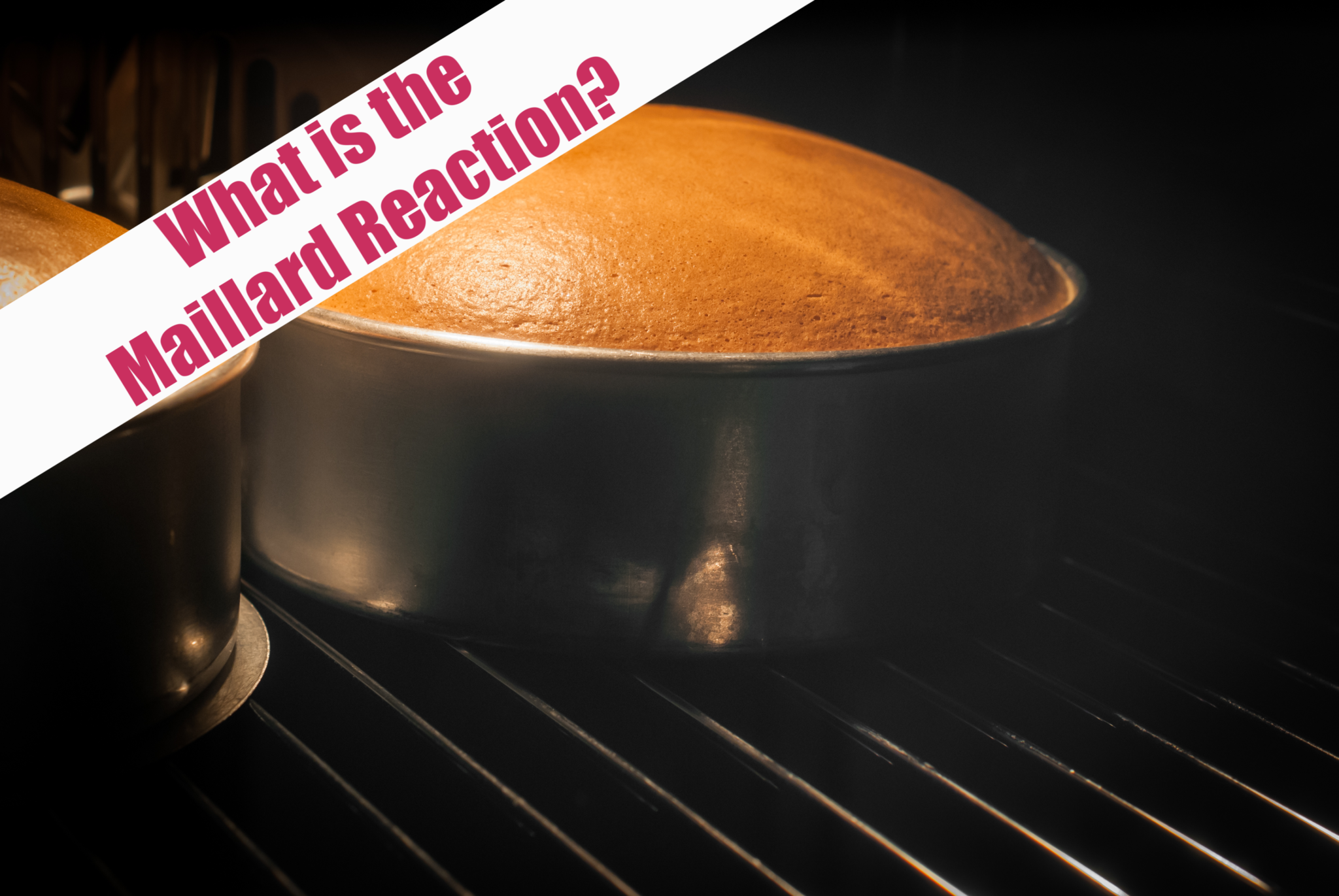 What is the Maillard Reaction? - Kitchen Science for Kids