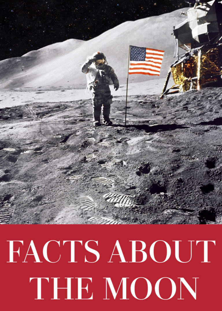 Facts about the Moon for Kids - Space Facts for Kids