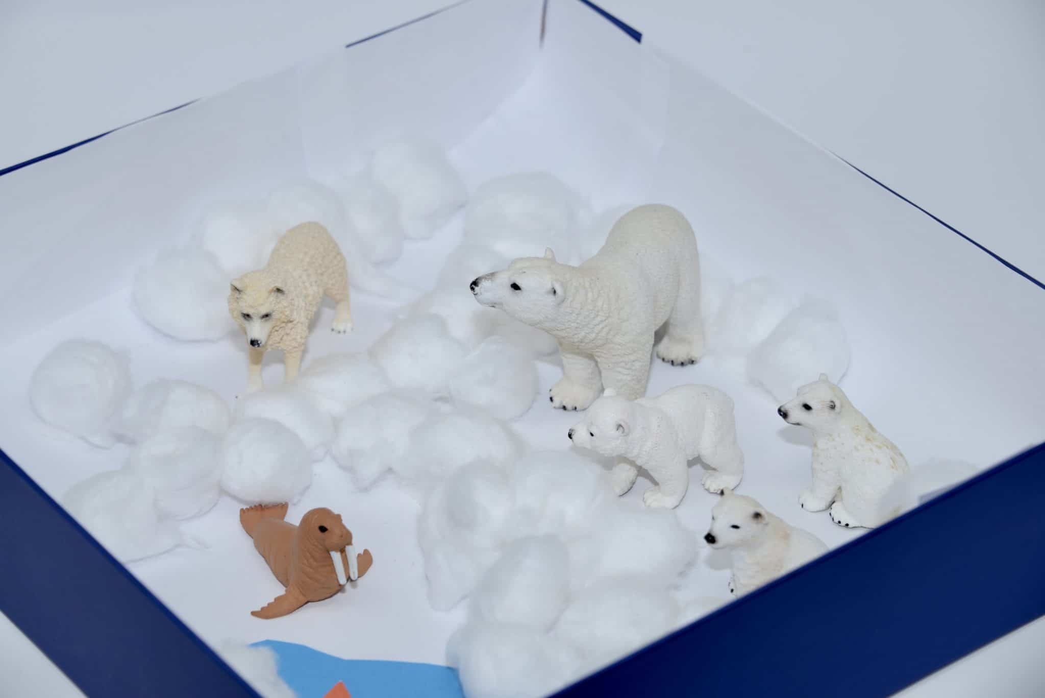 Polar Habitats for Kids - Shoebox Habitat