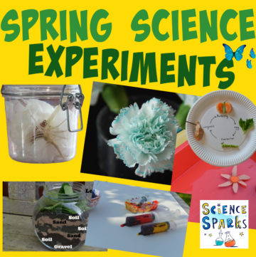 20 Fun Spring Science Experiments for Kids - Science Sparks