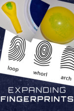 Expanding Fingerprints - Fingerprint Investigation for Kids