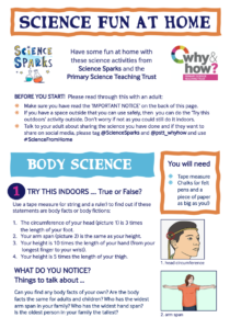 Easy Ideas for Science at Home - Science Sparks