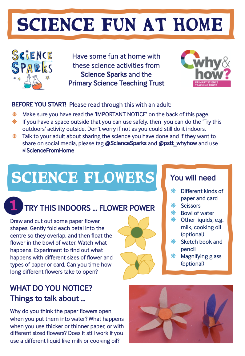 Easy Ideas for Science at Home - Science Sparks