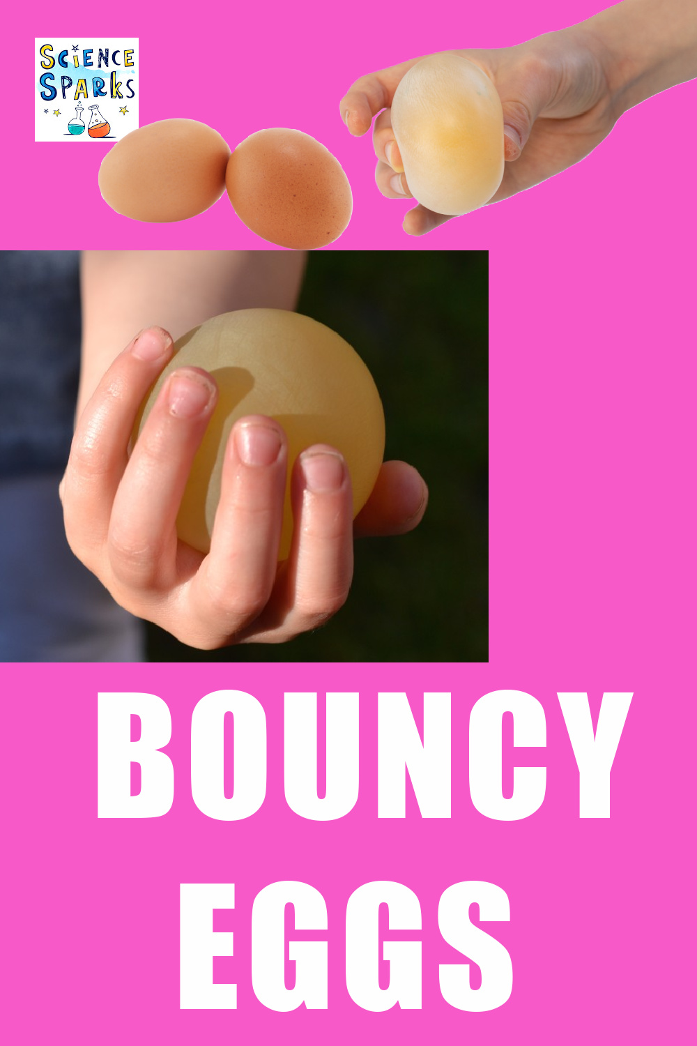 FREE Science Printable Experiment Instructions Science Resources