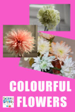 FREE Science Printable Experiment Instructions - Science Resources