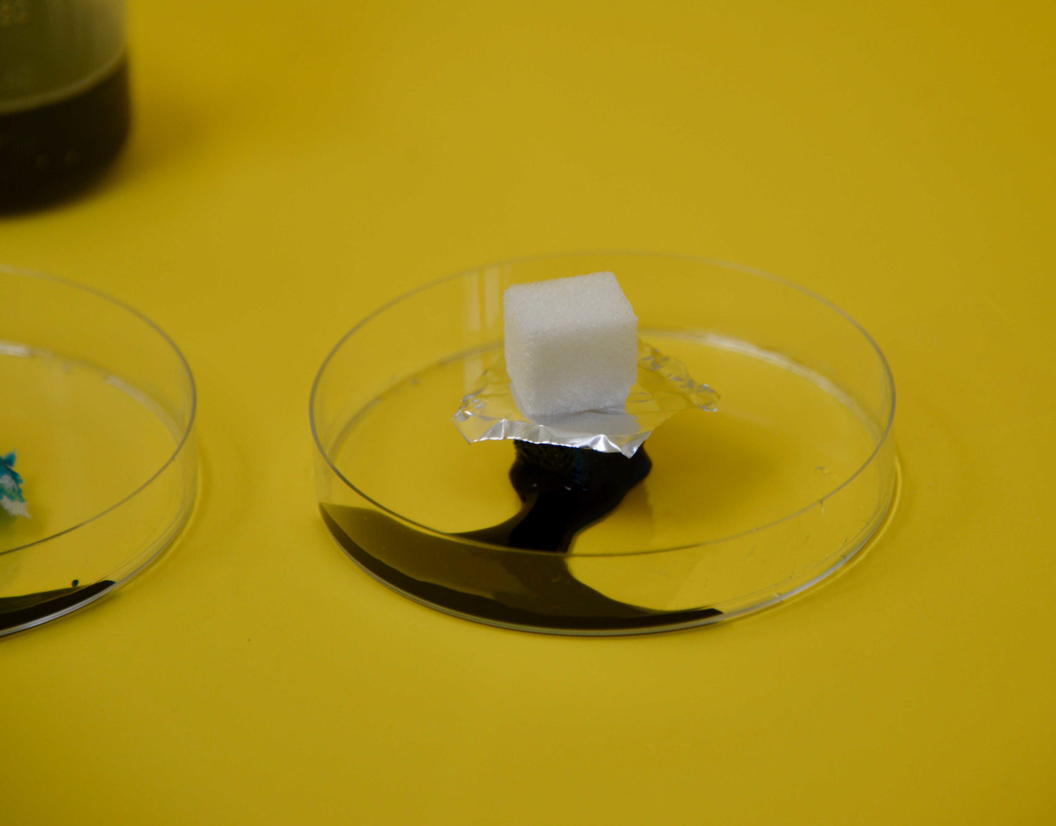 Colourful Sugar Cube Absorbing Experiment - Science for Kids