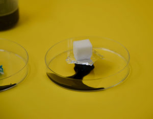 Colourful Sugar Cube Absorbing Experiment - Science for Kids