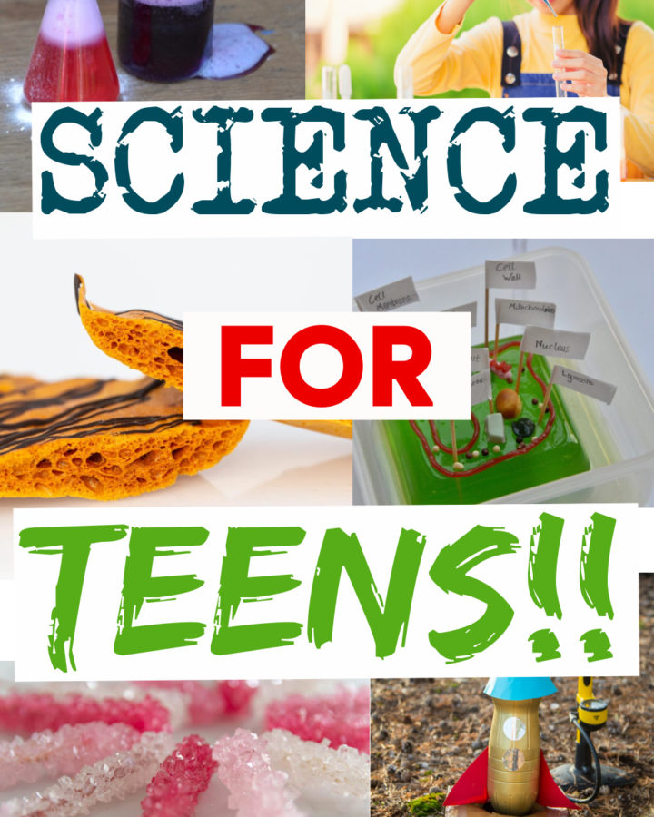 Stories Archive - Page 4 of 6 - Science Experiments for Kids