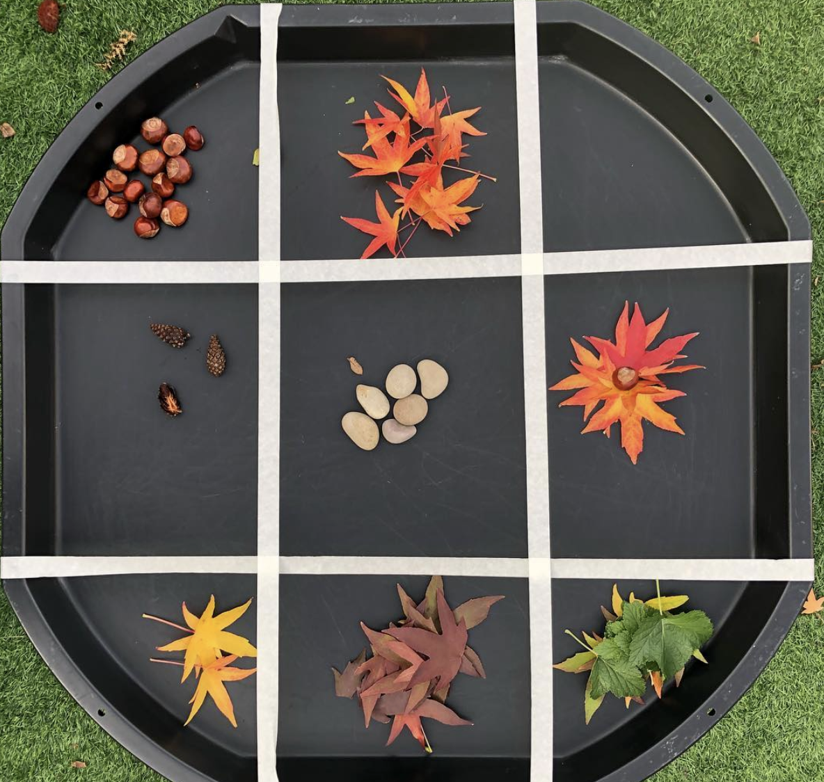 Science Experiments for Autumn and Fall - Science for Kids