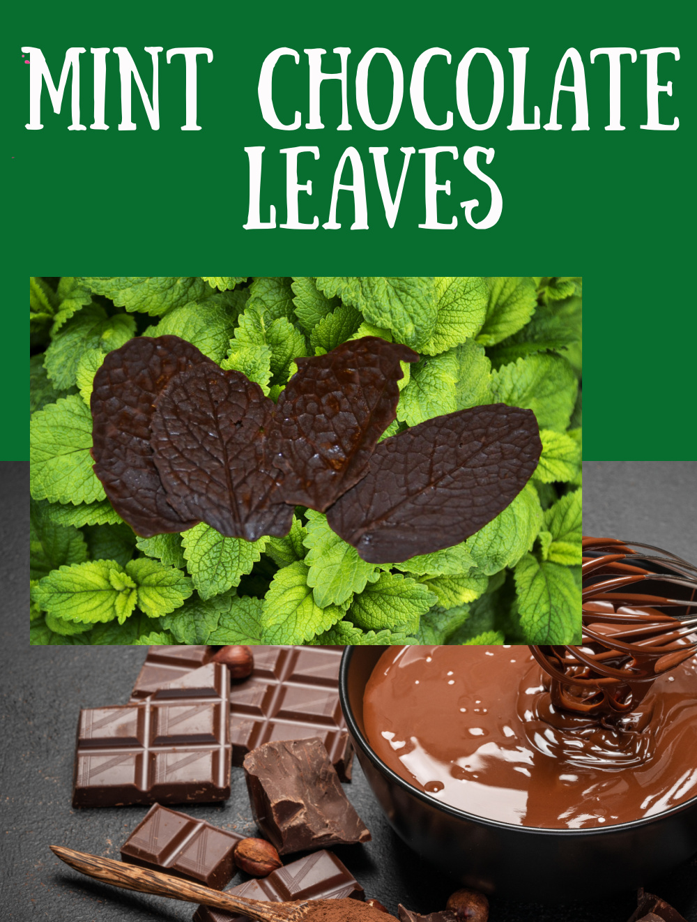 Mint Chocolate Leaves - Changes of State