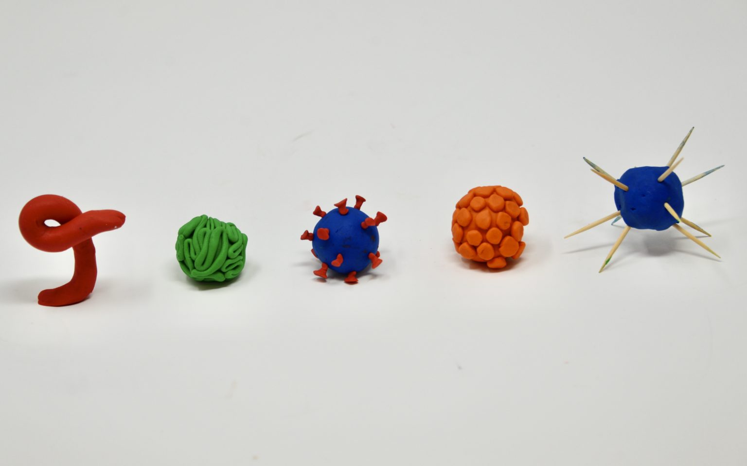 Easy Virus Models - Playdough Models of Ebola, Papillomavirus, ZIKA