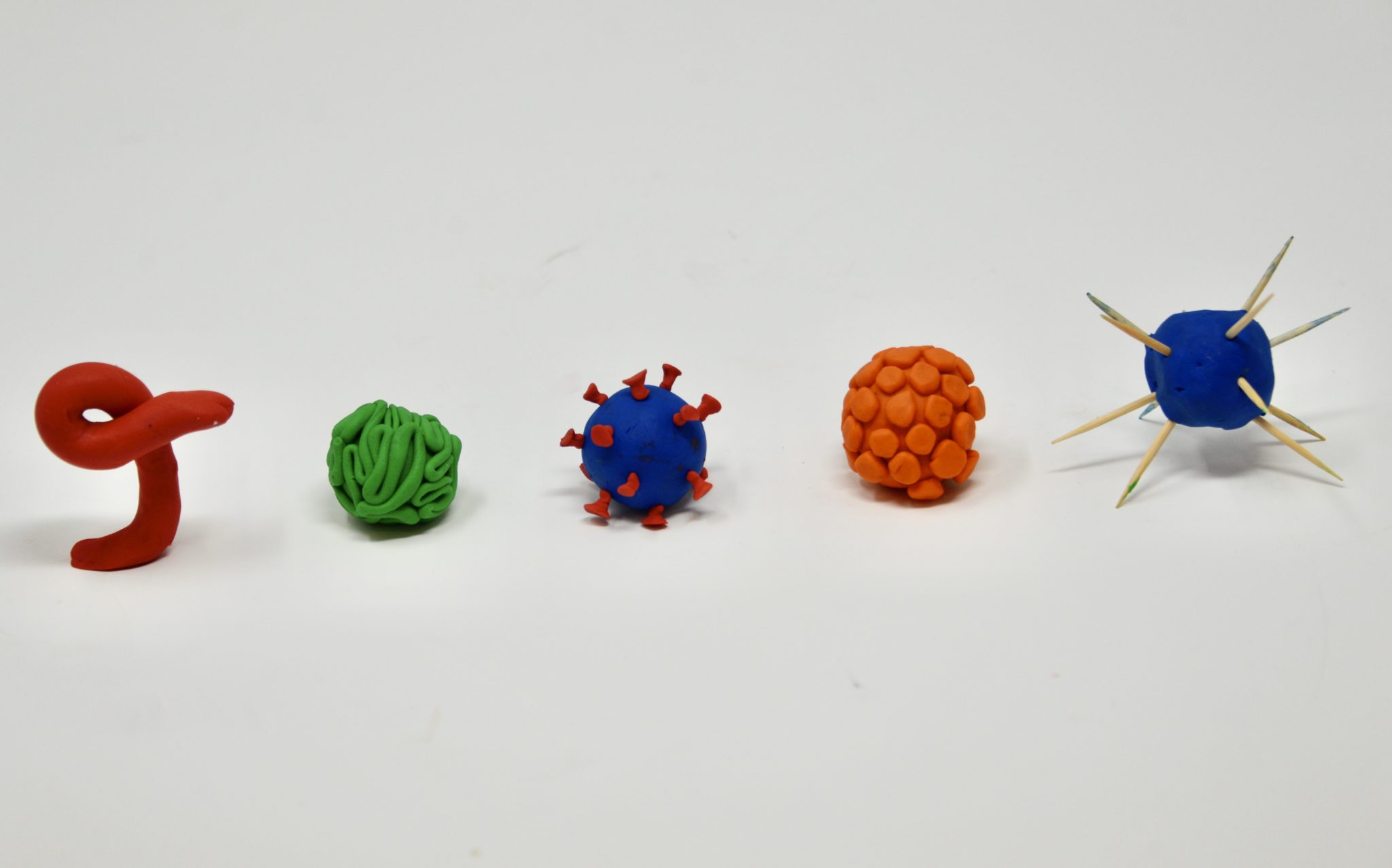 Easy Virus Models - Playdough Models of Ebola, Papillomavirus, ZIKA