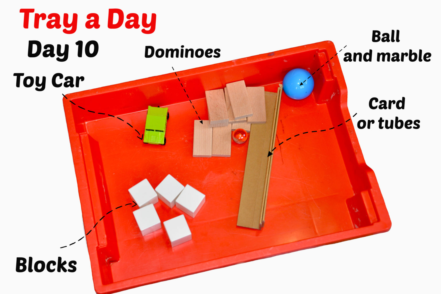 Easy Science for Home and School - Tray a Day - Science in a Tray!