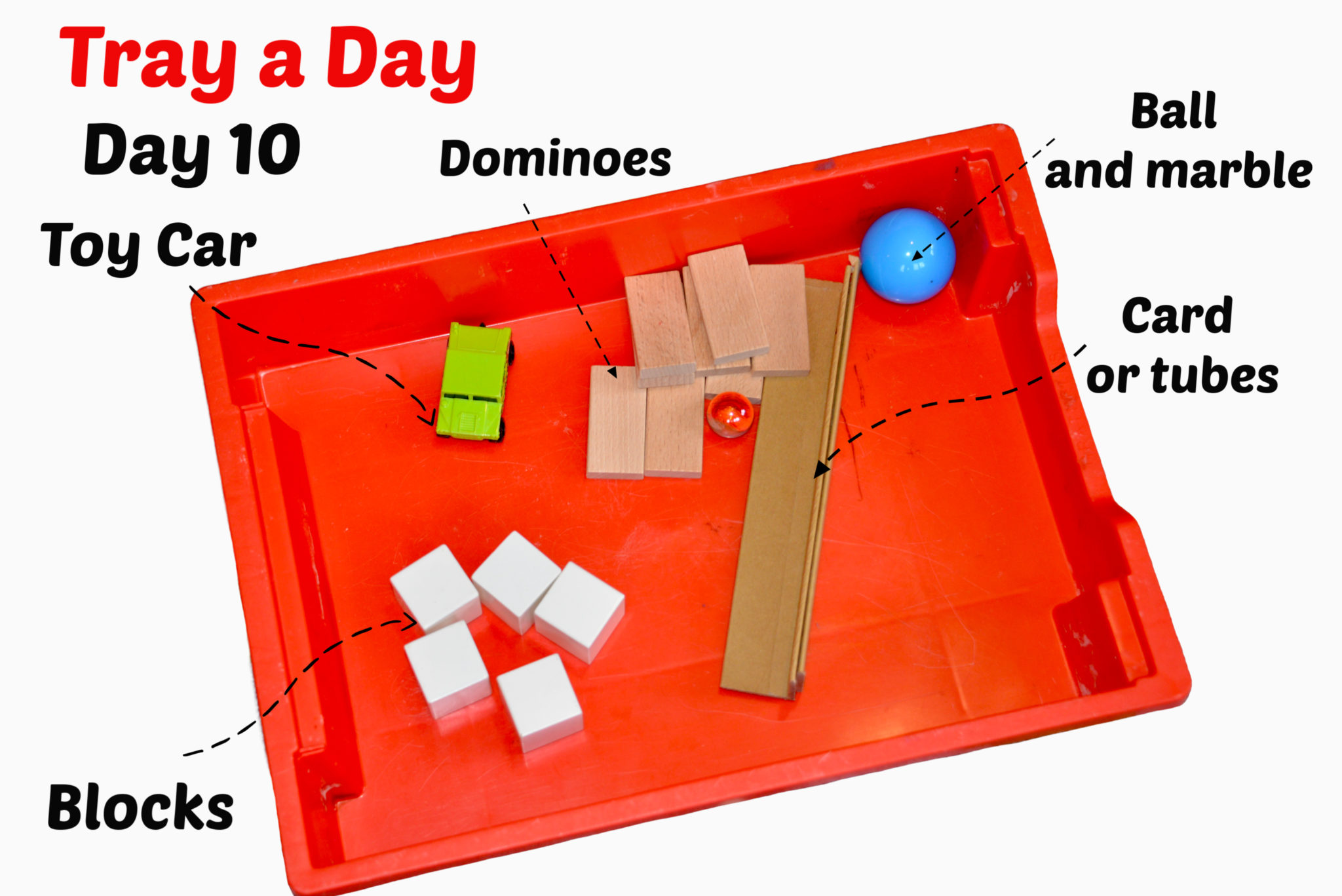 Easy Science for Home and School - Tray a Day - Science in a Tray!