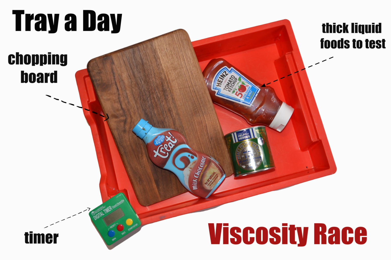 Easy Science for Home and School - Tray a Day - Science in a Tray!