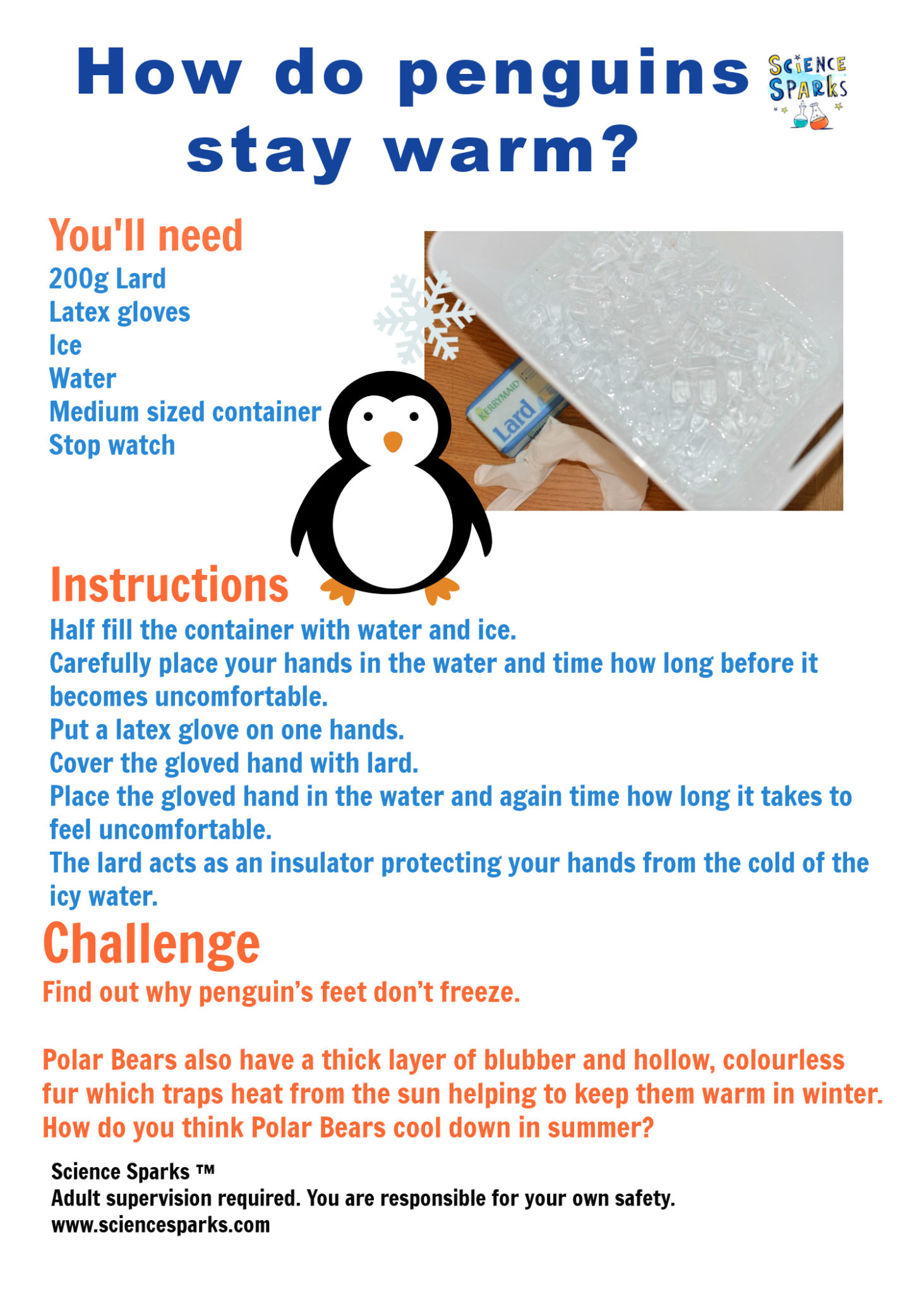How do Penguins stay warm? - Winter Science for Kids How do Penguins stay warm? - Winter Science for Kids