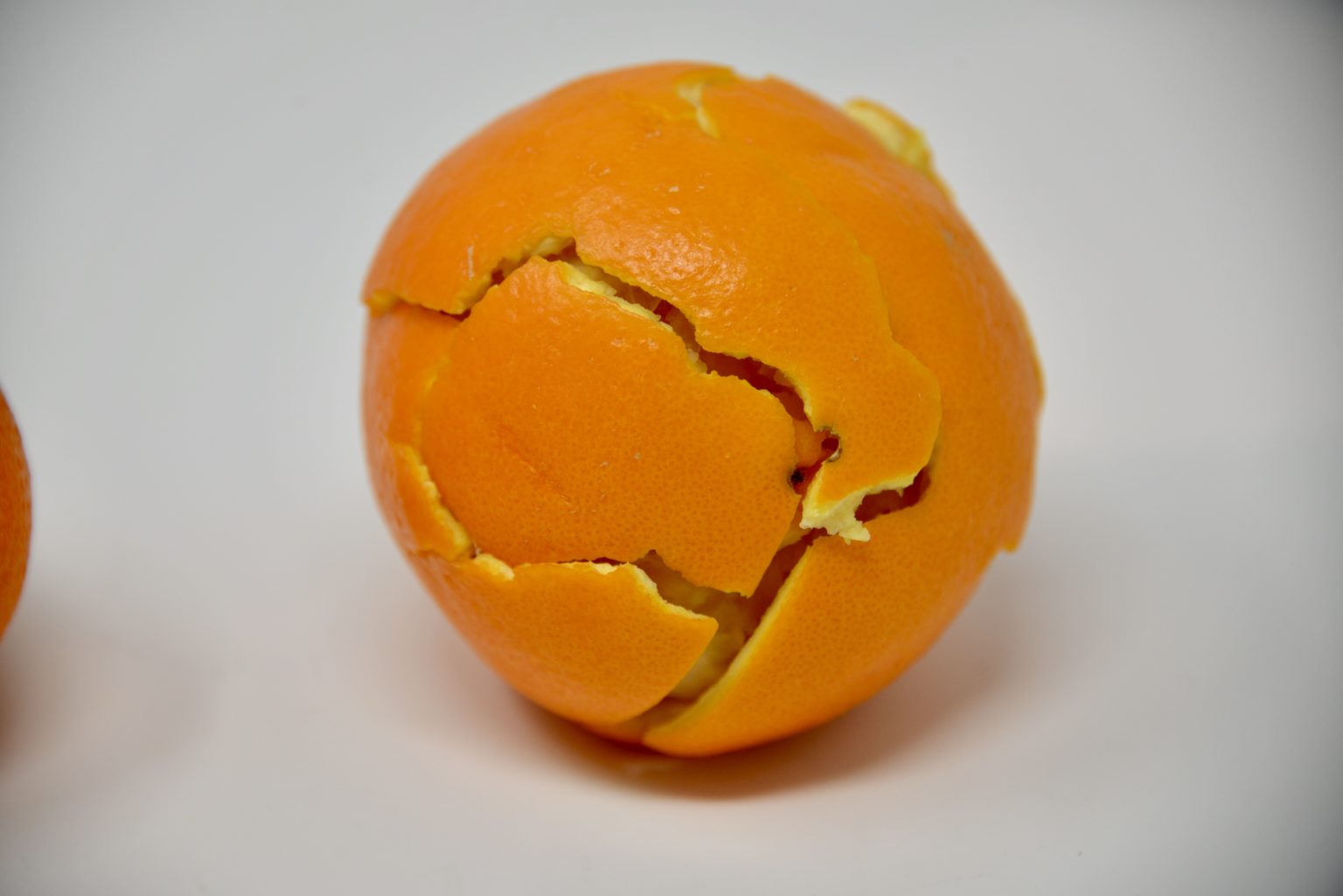 Orange Peel Plate Tectonics - Geology for Kids