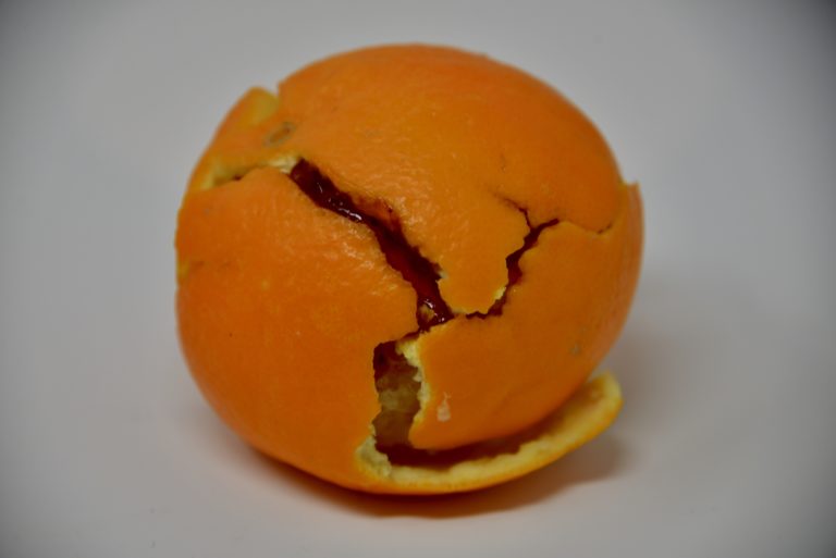 Orange Peel Plate Tectonics - Geology for Kids