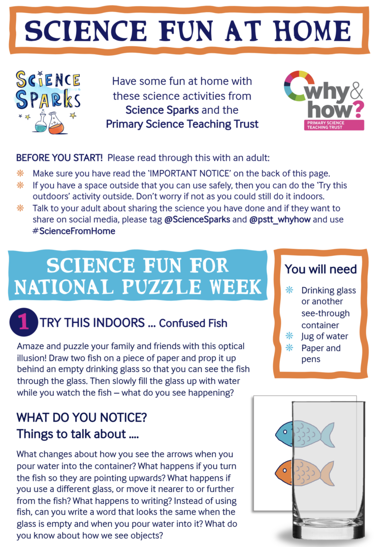 Easy Ideas for Science at Home - Science Sparks
