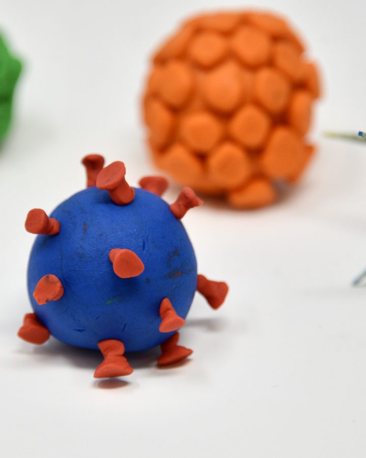 Viruses for Kids - Science Experiments for Kids