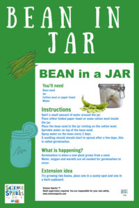 Plant Science - How to grow a bean in a jar - Science Experiments for Kids