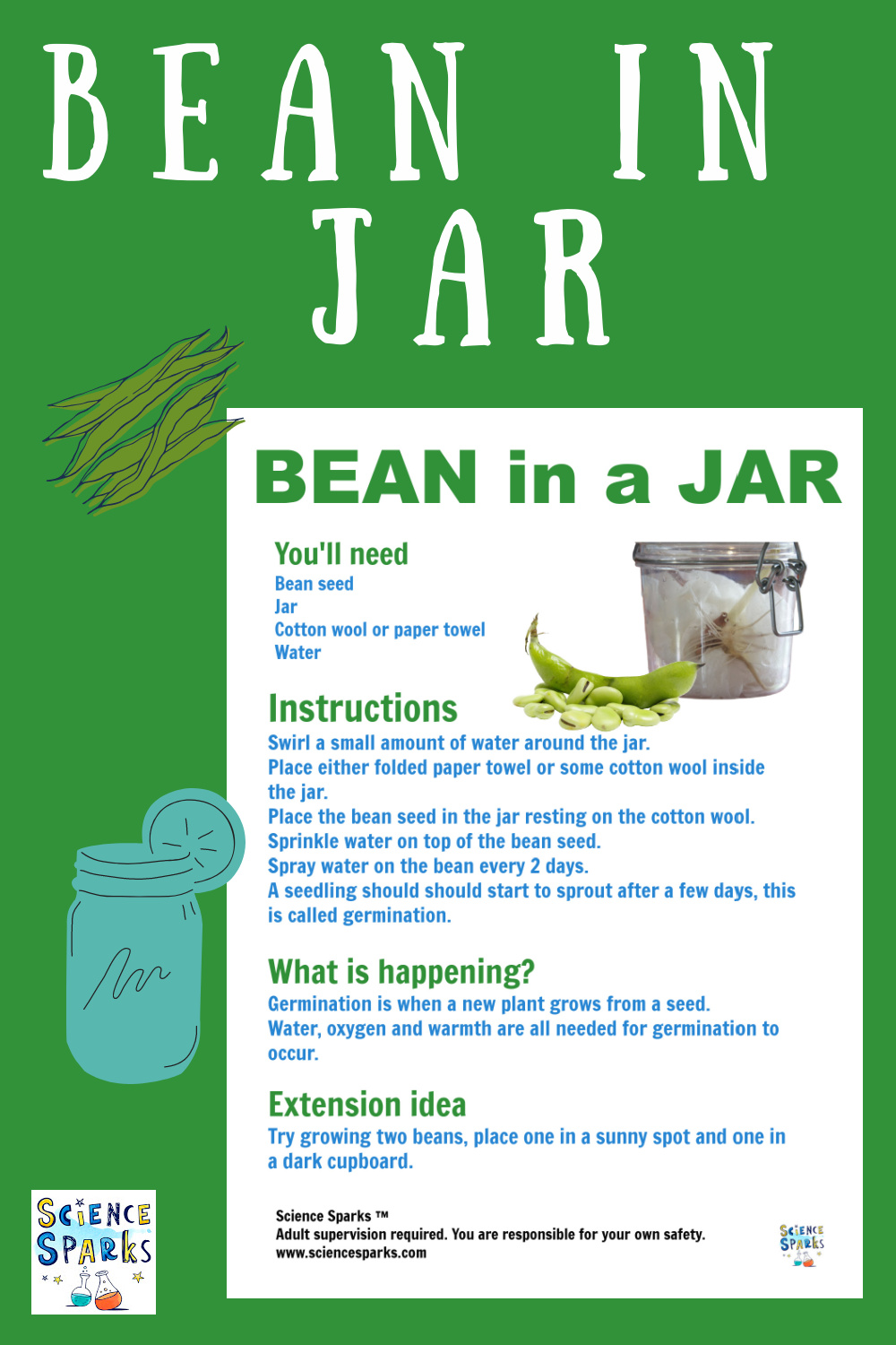 Plant Science - How to grow a bean in a jar - Science Experiments for Kids