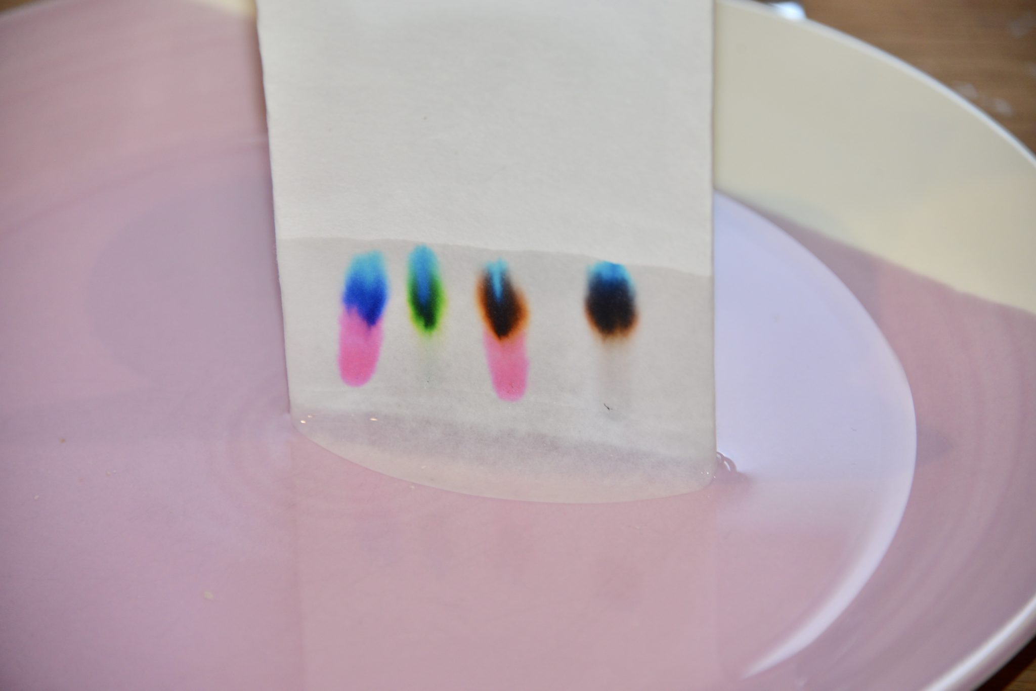 Paper Chromatography Experiment - Science Experiments for Kids Paper Chromatography Experiment - Science Experiments for Kids