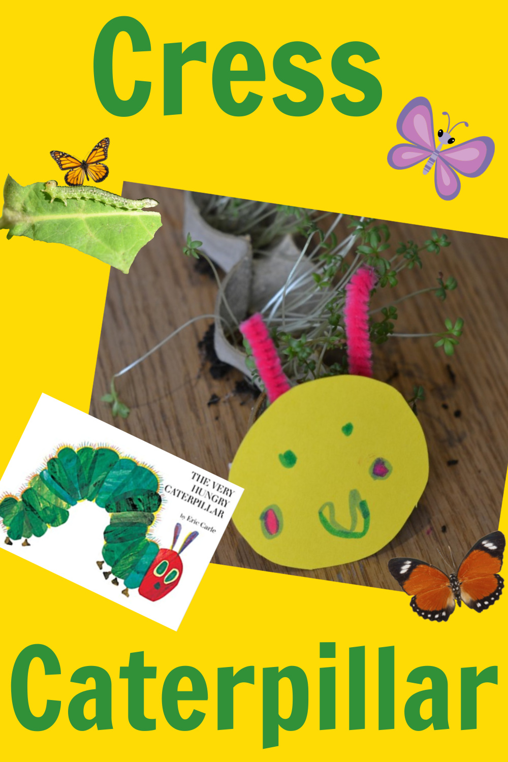Spring Science - How to Grow a Cress Caterpillar