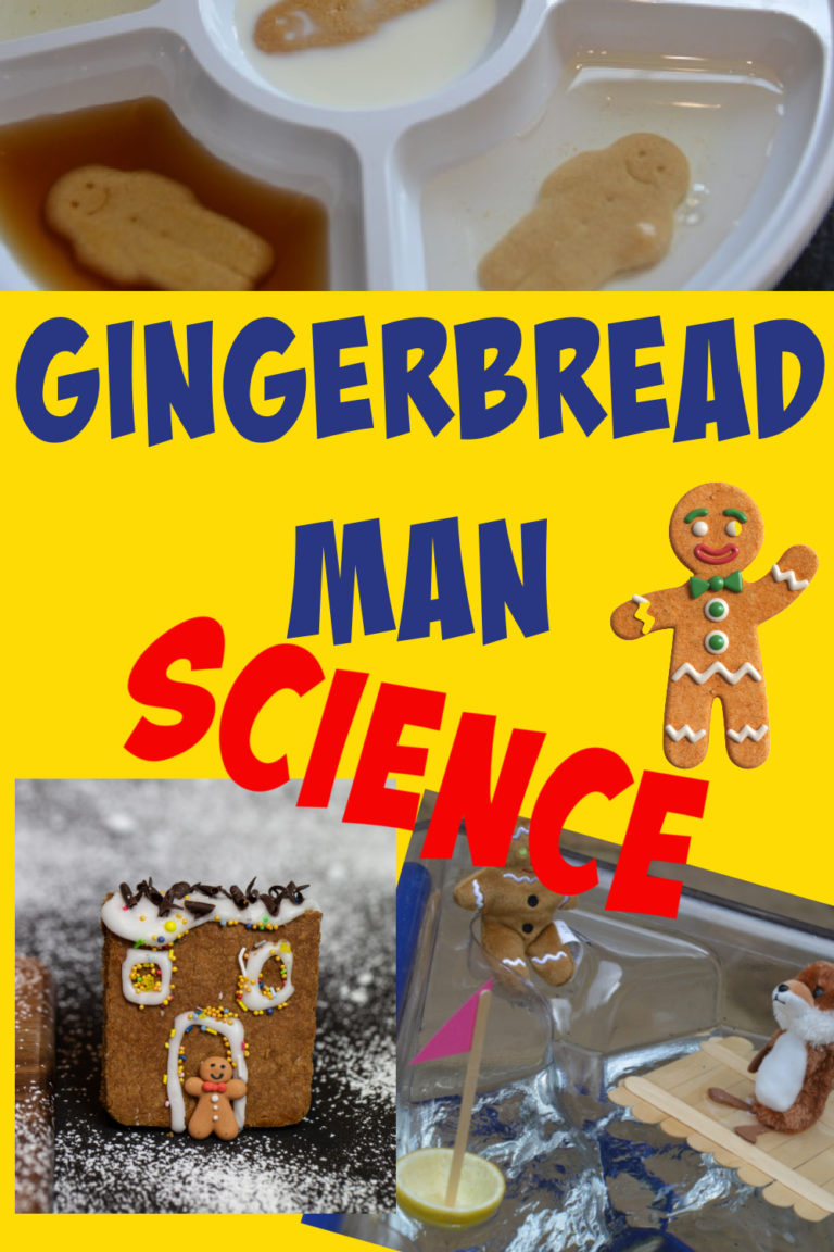 The Gingerbread Man Science Experiments - Science for Kids