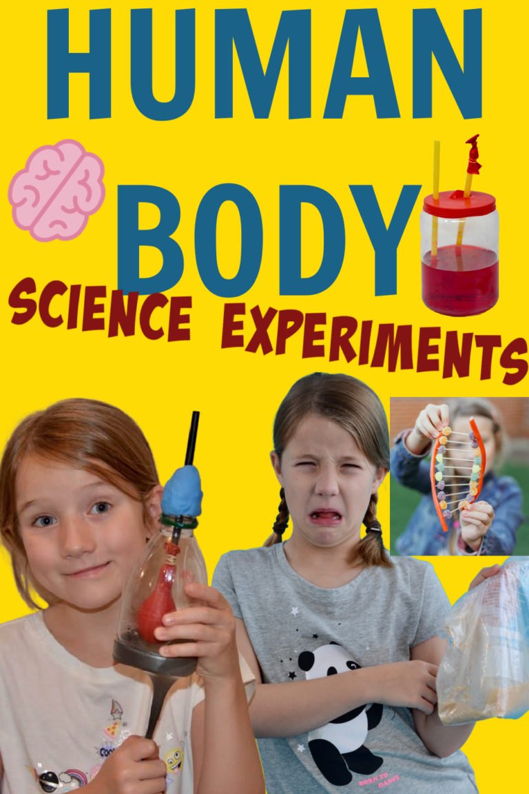 Science experiments for learning about the Human body