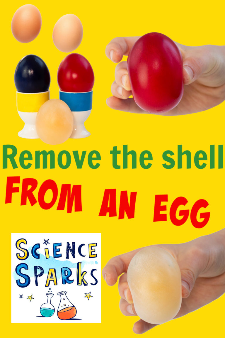 How to make a Naked Egg - Kitchen Science - Science Experiments for Kids