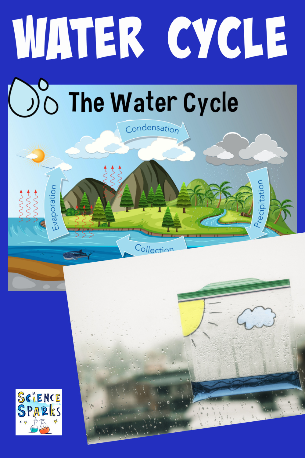 water cycle in a bag worksheet