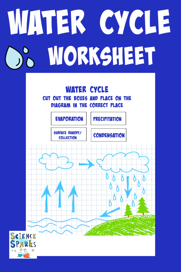 Make a Water Cycle Model - Weather Science for Kids