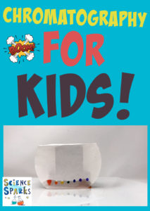 Paper Chromatography Experiment