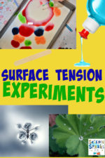 Surface Tension of Water - Science Experiments for Kids