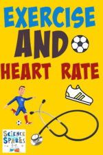 How does exercise affect heart rate? Science Investigation - Science ...