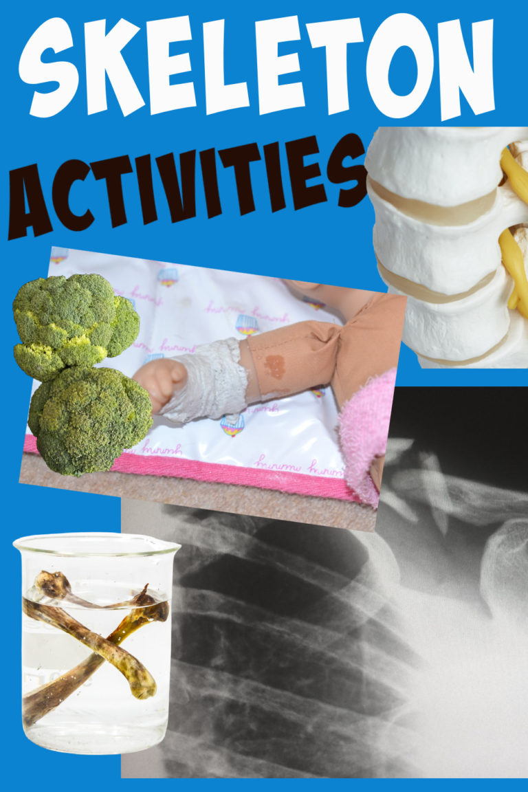 Skeleton Activities for Kids - Healthy Bones