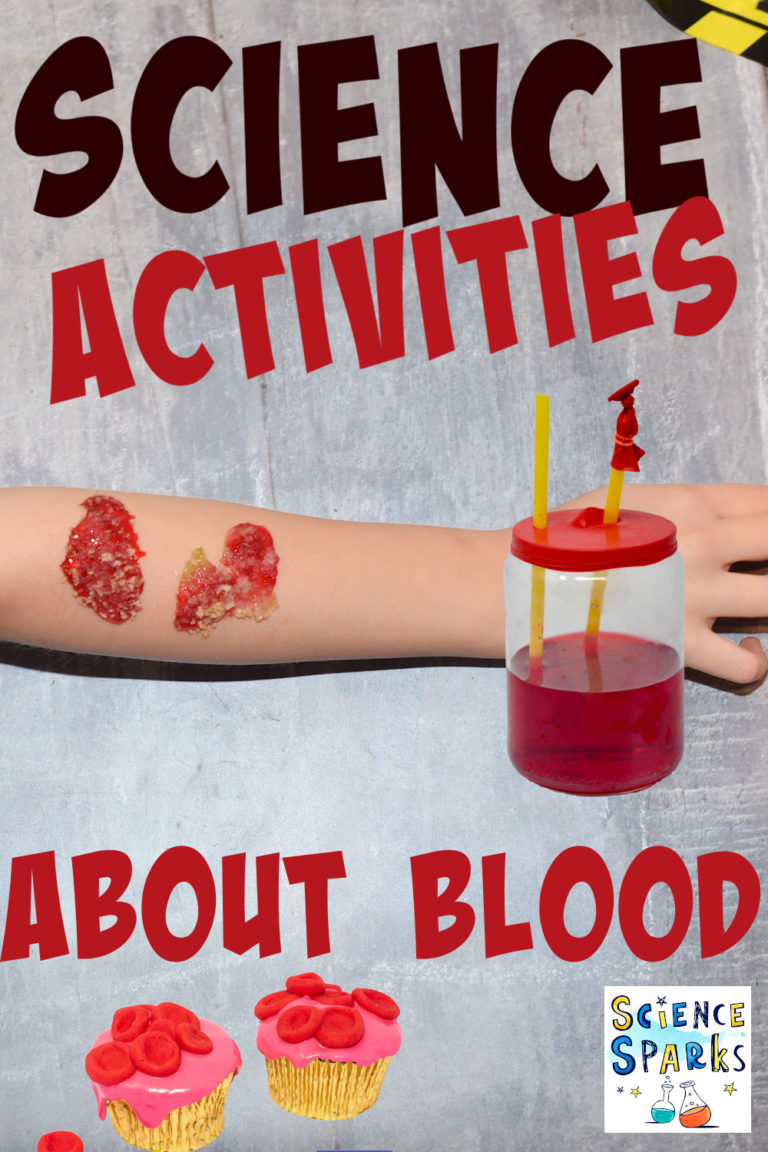 Science activities for learning about blood - Science Experiments for Kids