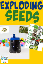 Exploding Seeds - Create a seed explosion device