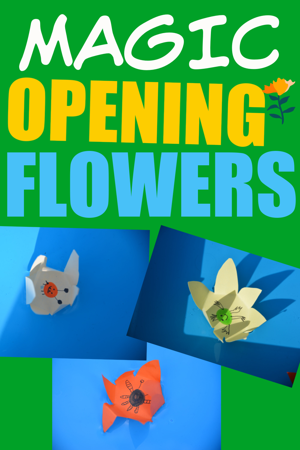 Magic Opening Flowers
